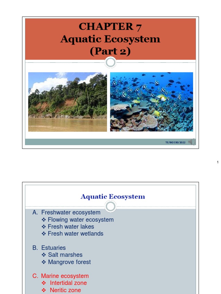 Chapter 7 (Part 2) - Aquatic Ecosystem | PDF | Phytoplankton | Oceans