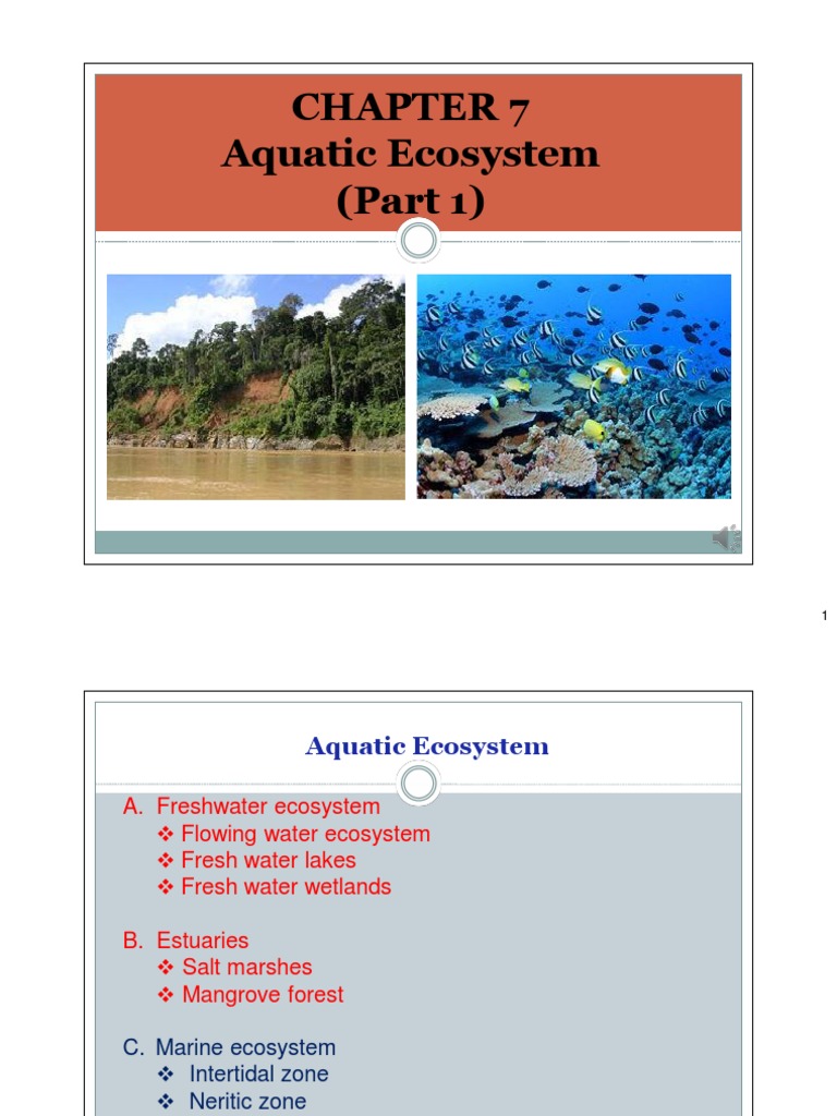 Overview of Aquatic Ecosystems | PDF | Fresh Water | Aquatic Ecosystem