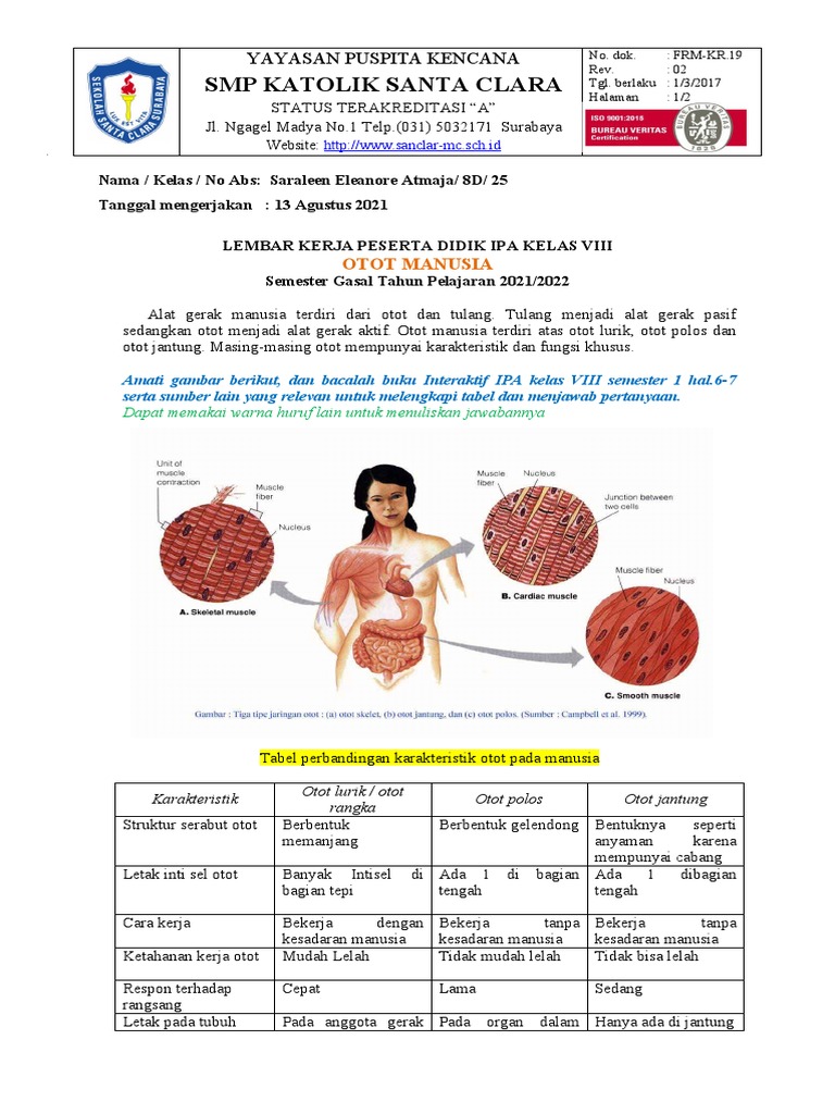 LKPD Otot - 8D 25 - Saraleen Eleanore Atmaja | PDF | Pengembangan Diri