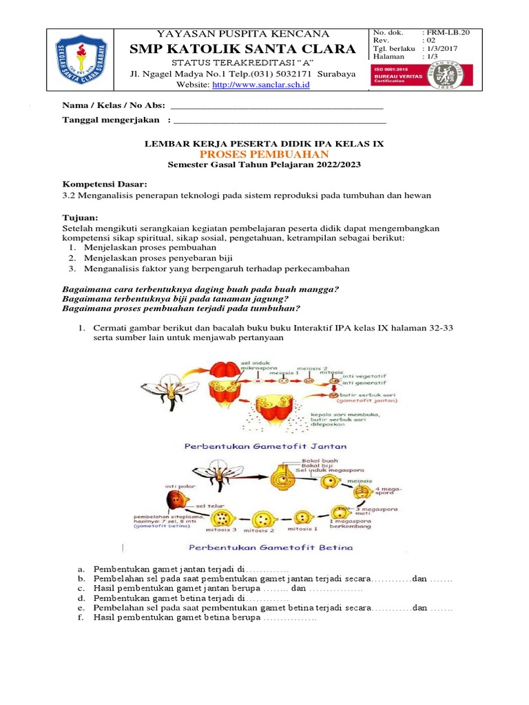 Proses Pembuahan Ganda pada Tumbuhan | PDF