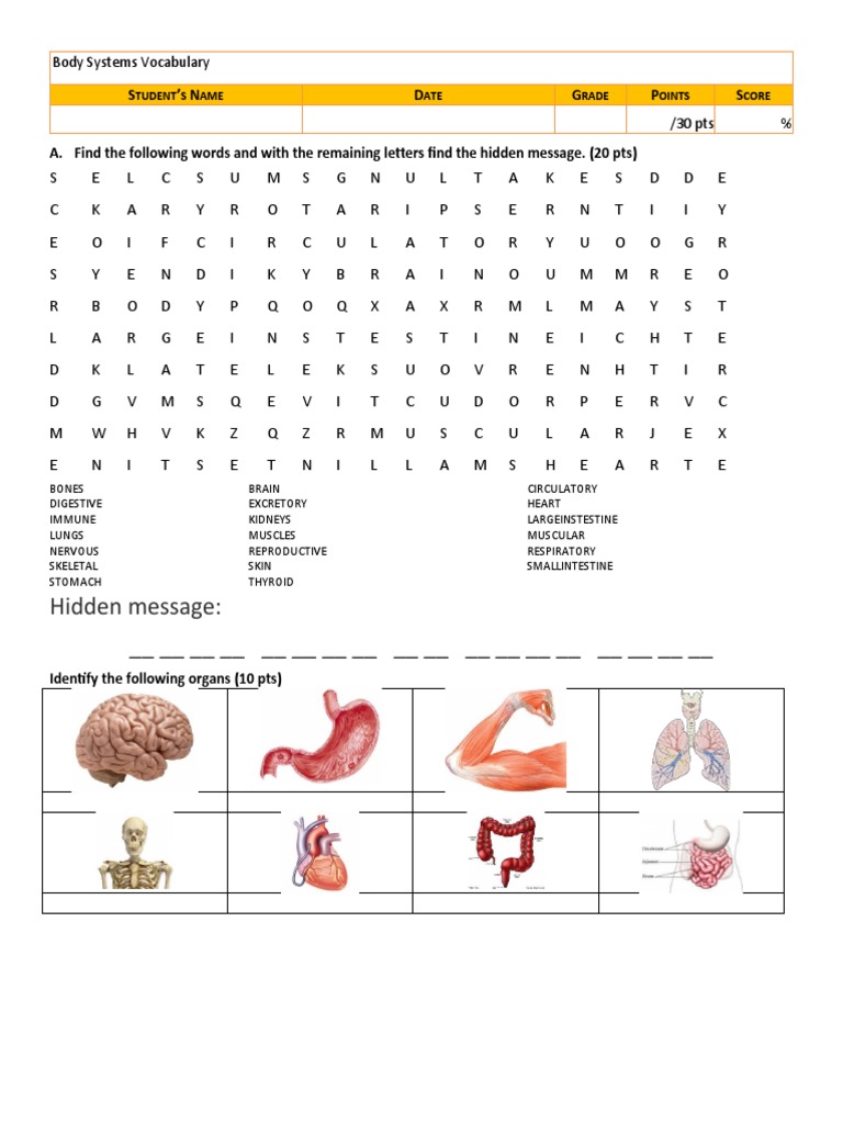 Body Systems Word Search Activity | PDF
