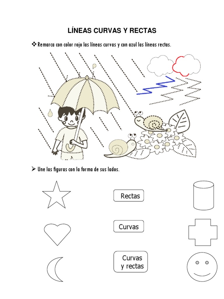 Líneas Curvas y Rectas | PDF