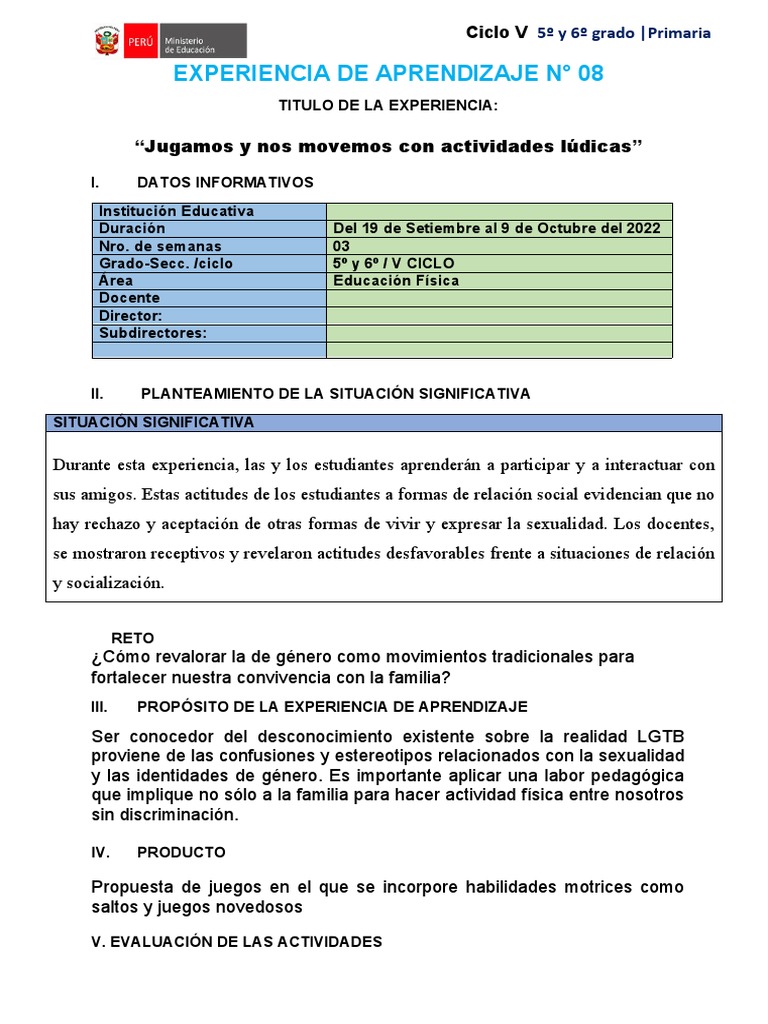 EXP 08 - V CICLO 5to y 6to Grado Primaria 2022 | PDF | Aprendizaje | Cognición