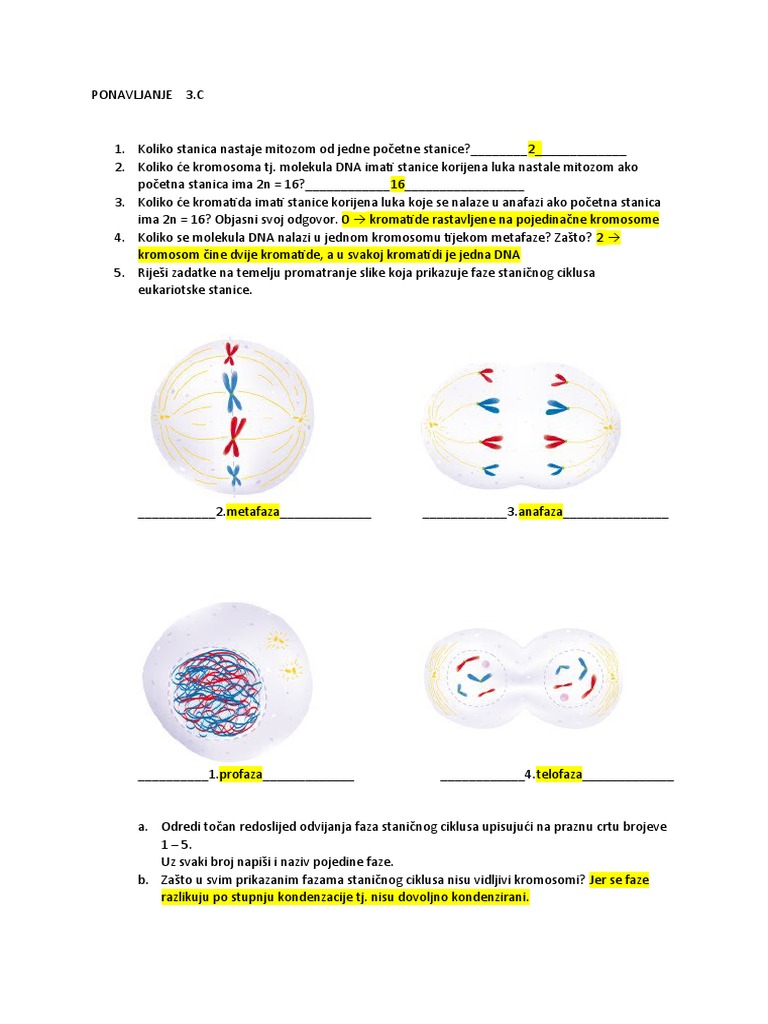 PONAVLJANJE-3 C | PDF