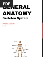 Skeletal System 206 Bones Comprehensive List | PDF | Skull ...
