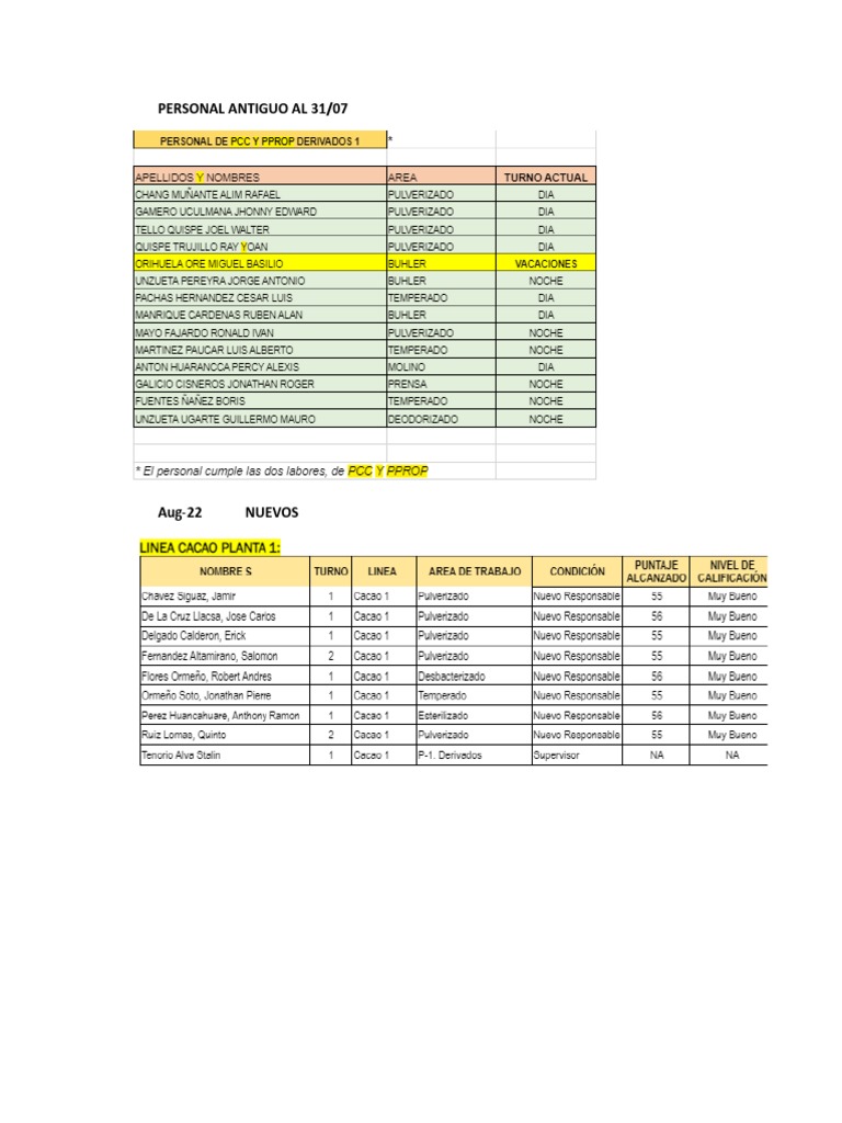 Lista de Personal Pccs | PDF