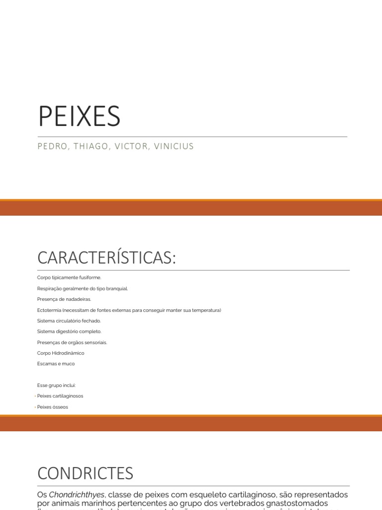 Características e grupos de peixes | PDF | Vertebrados | Peixes