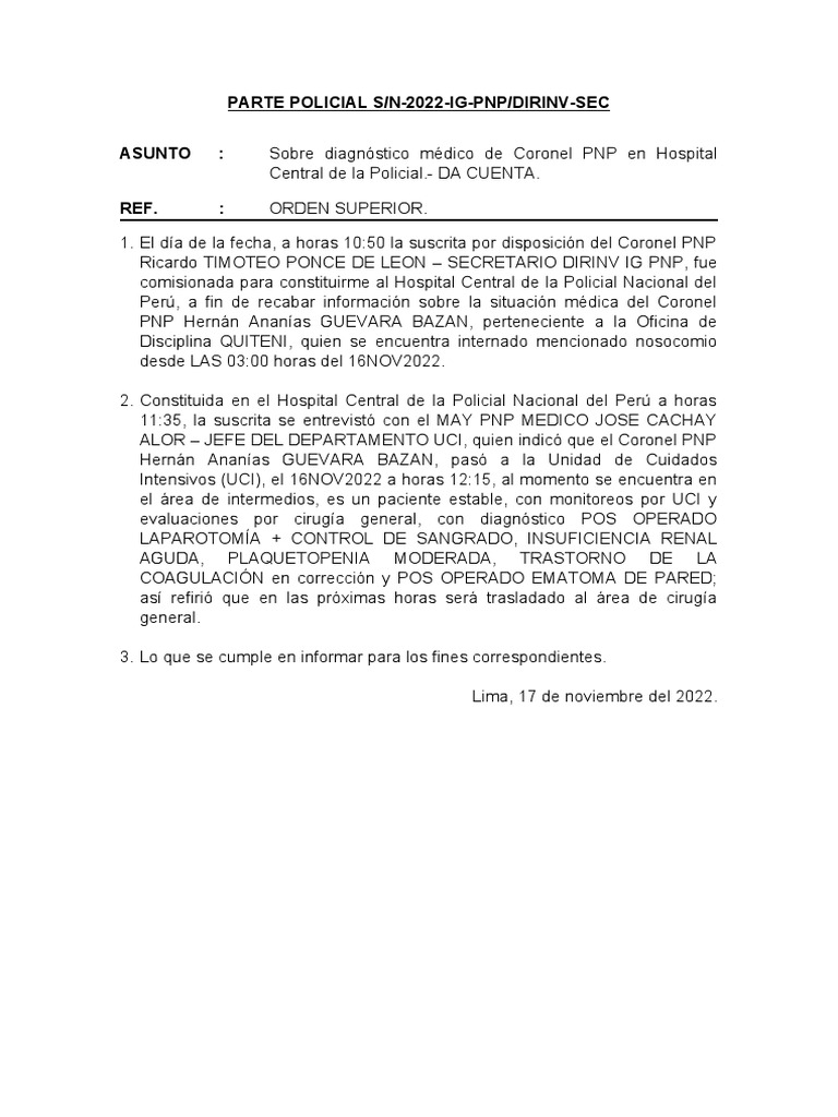 Parte Policial S | PDF