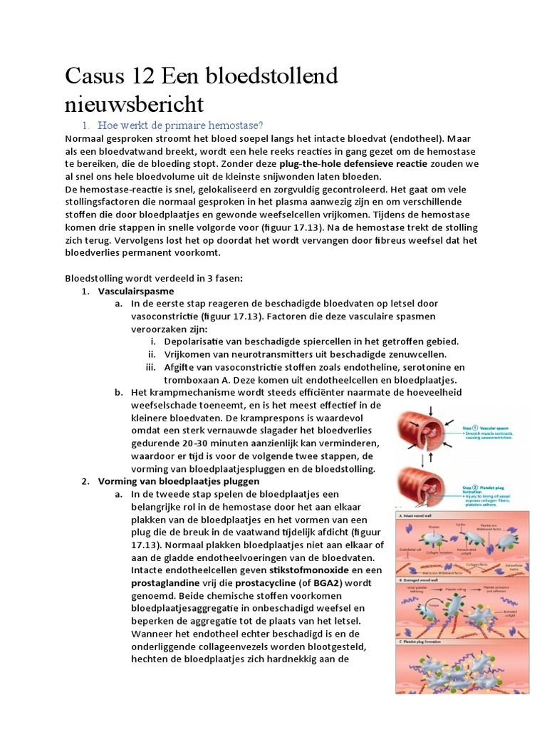 Casus 12 Een Bloedstollend Nieuwsbericht | PDF