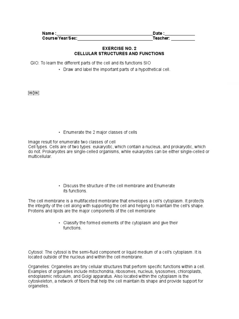 Cell Structure and Function: An Analysis of the Parts and Roles of the ...