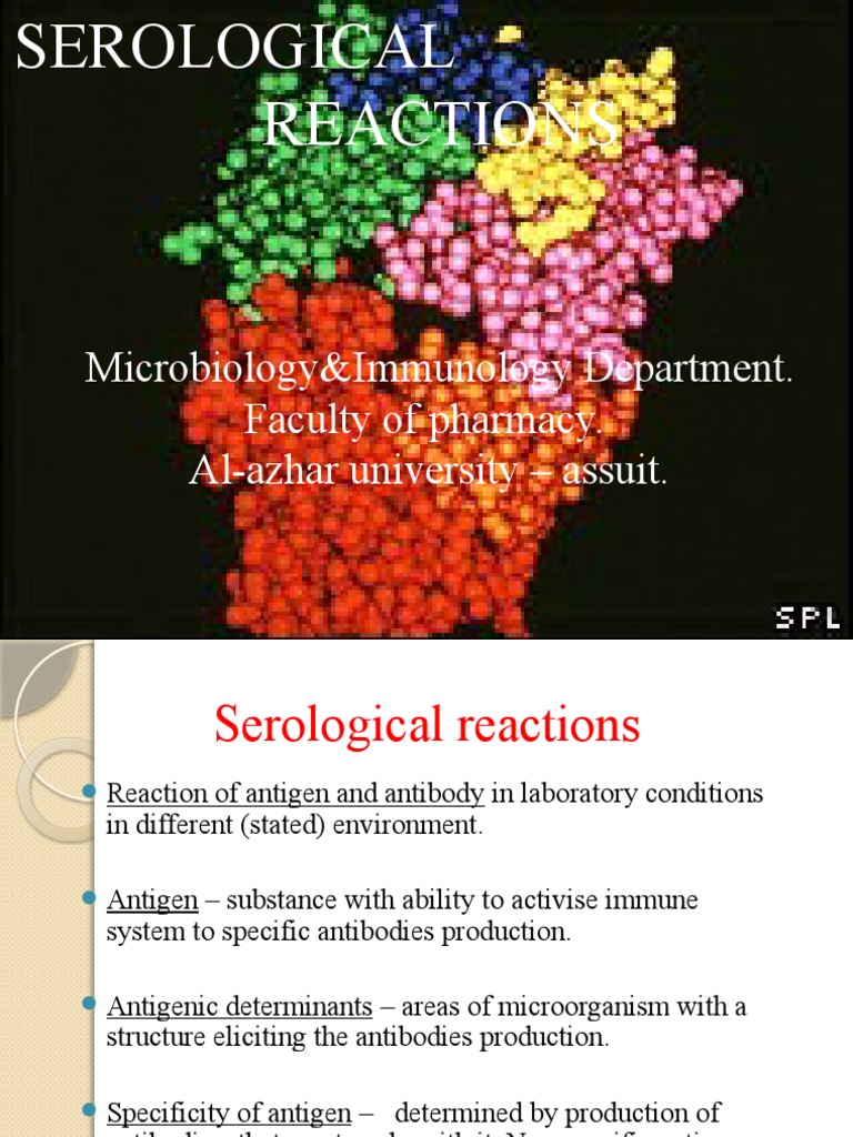 Serological Reactions 2 | PDF | Elisa | Antibody