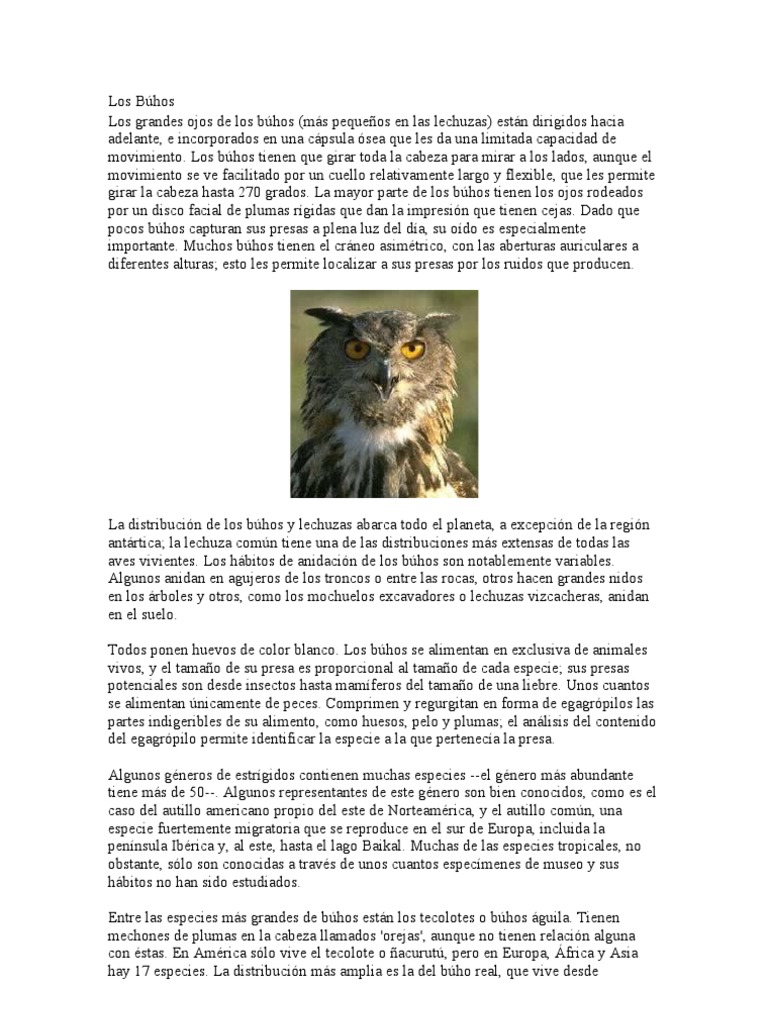 Los asombrosos ojos y oídos de los búhos y sus variadas características ...