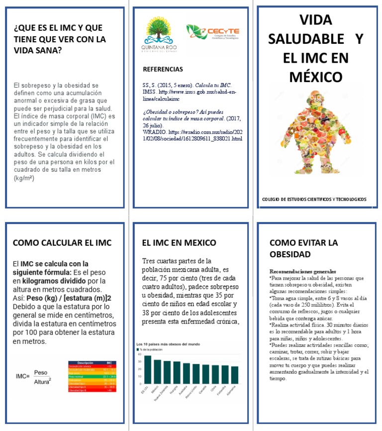Triptico Sobre El Imc | PDF | Obesidad | Índice de masa corporal