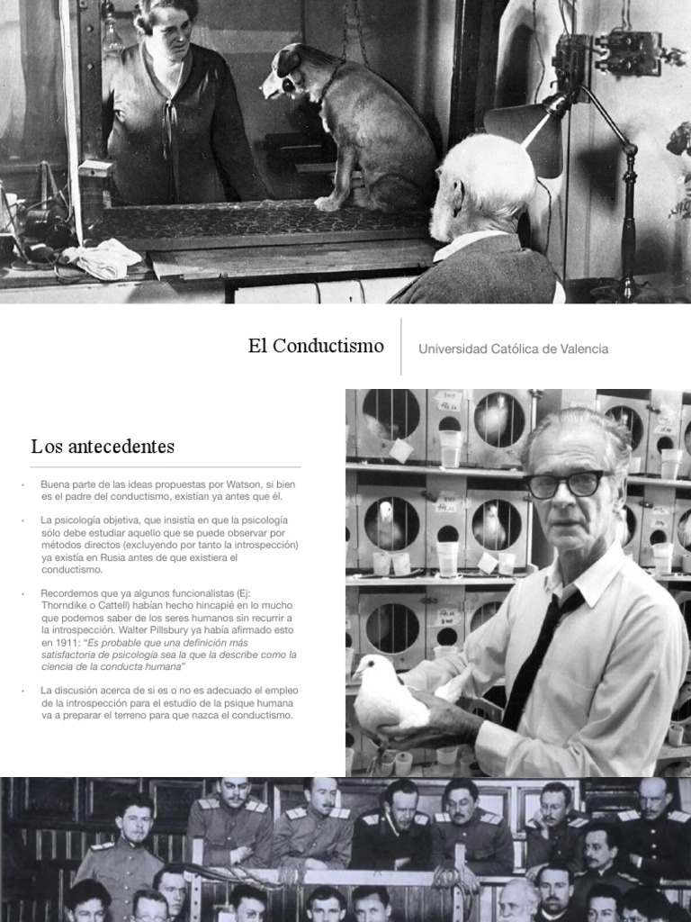 Introducción al Conductismo y sus Fundamentos | PDF | Behaviorismo ...