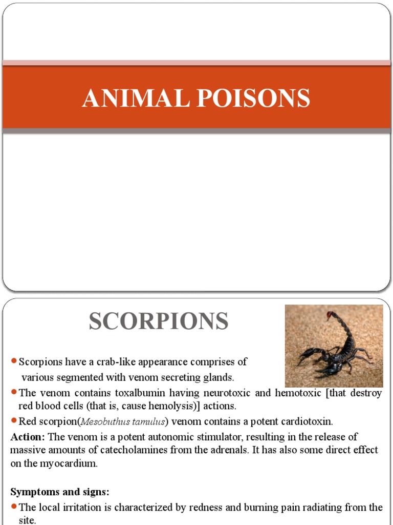 Animal Poison | PDF | Snake | Venom