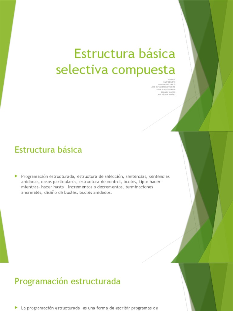 Estructura Básica Selectiva Compuesta | PDF | Programa de computadora ...
