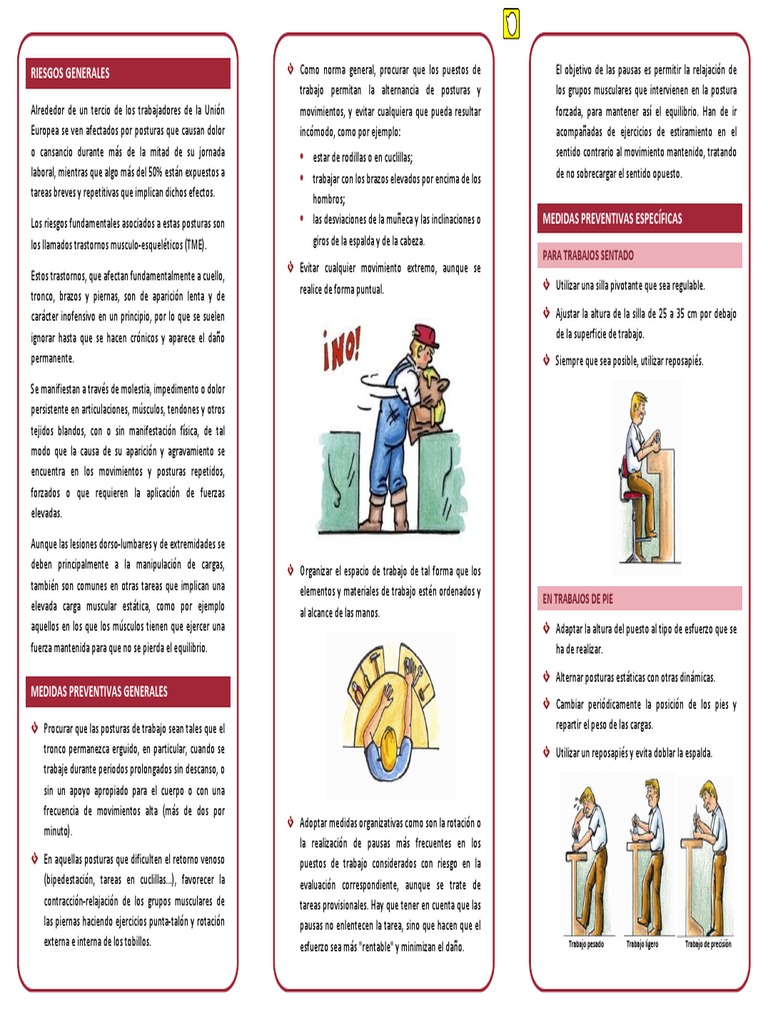 Posturas Forzadas | PDF | Músculo esquelético | Rodilla