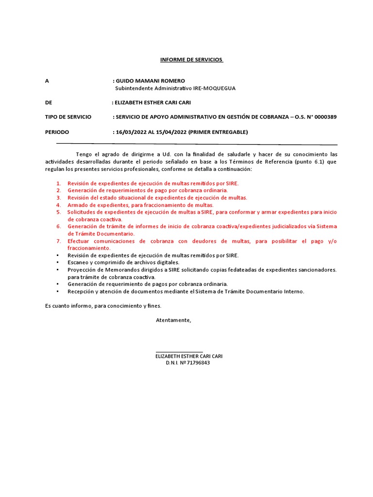 Informe de Servicios-Primer Entregable | PDF