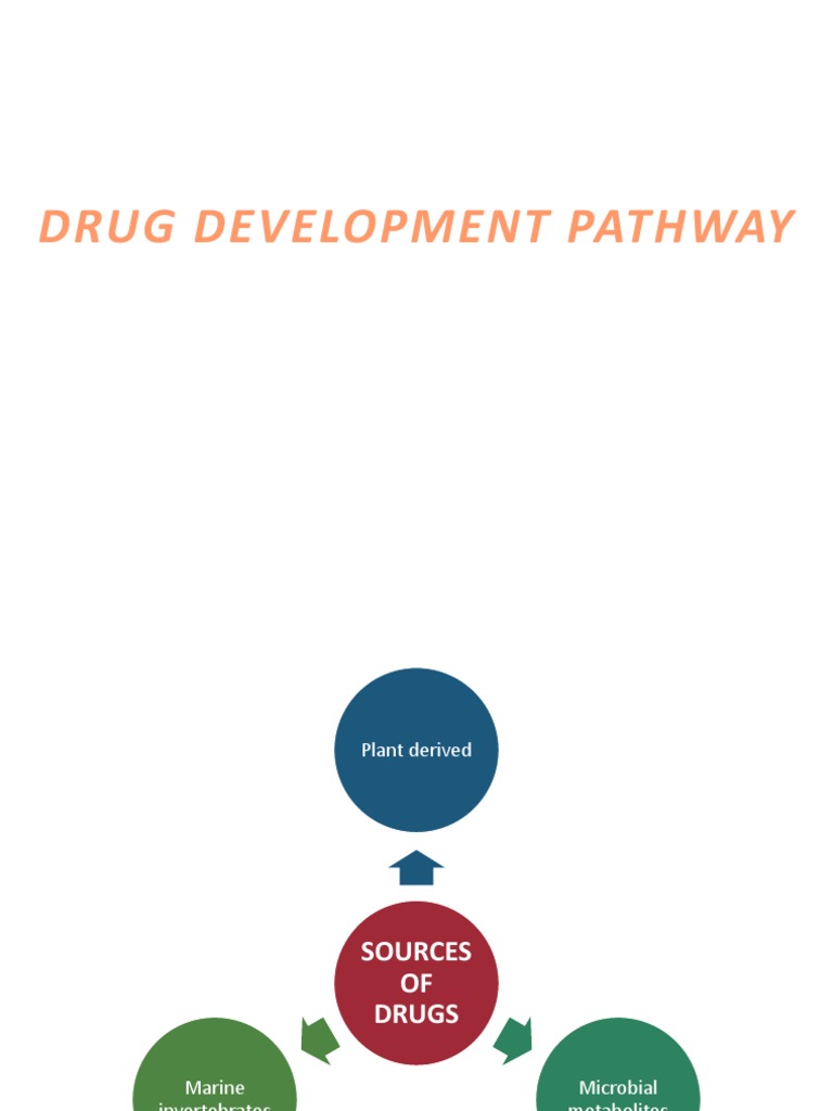 Drug Development Pathway | PDF