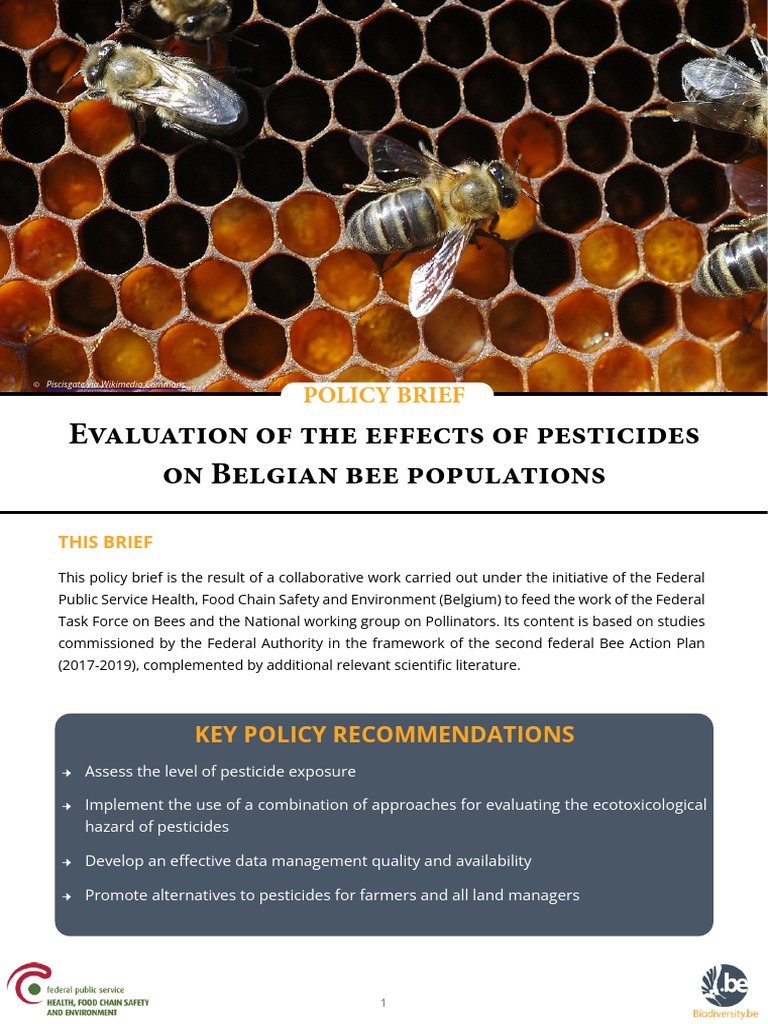 Belgium Bees Policy Brief Env 4 | PDF | Pesticide | Agriculture