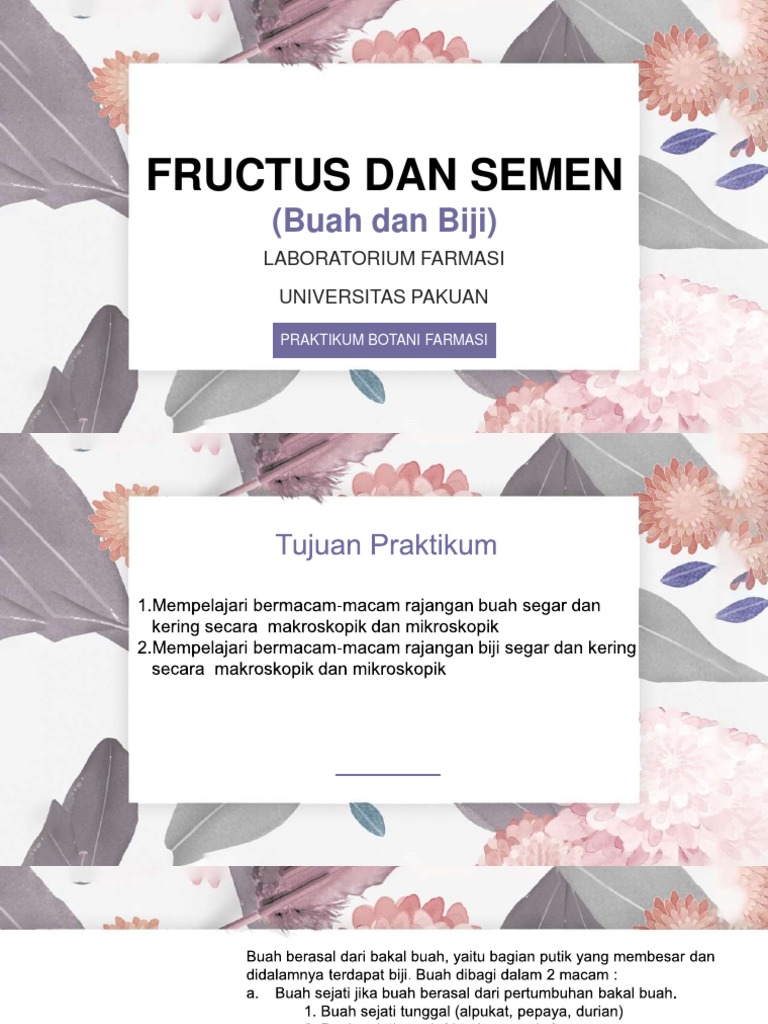 Fructus Dan Semen | PDF