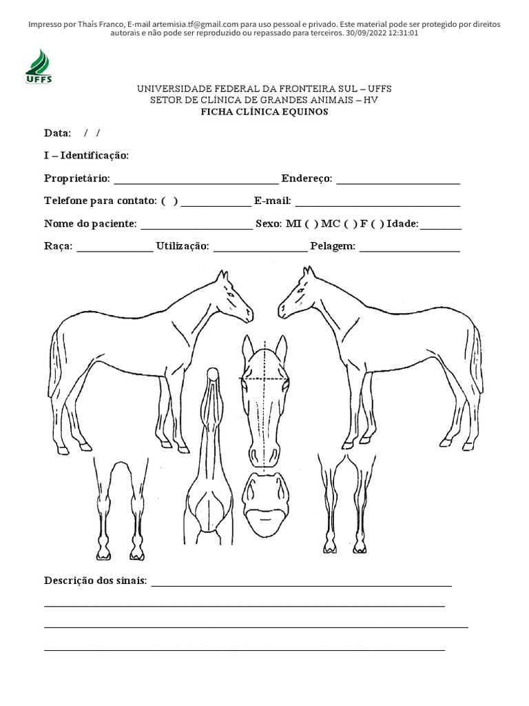 Modelo Ficha Clinica Equino | PDF | Especialidades médicas | Medicina Clínica