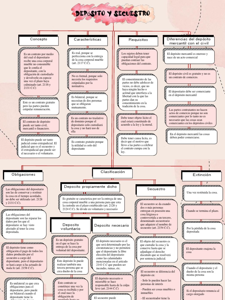Organizador Gráfico de Depósito y Secuestro | PDF | Ley común | Justicia