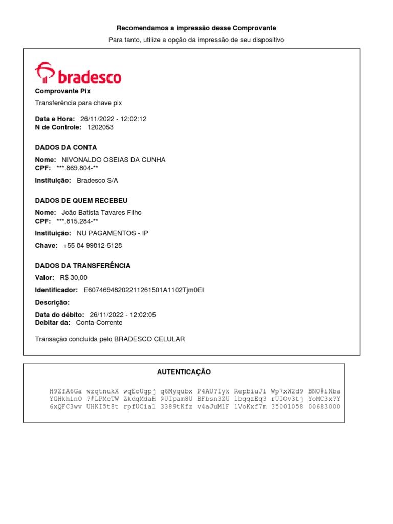 Comprovante Pix Transferência 30 reais | PDF