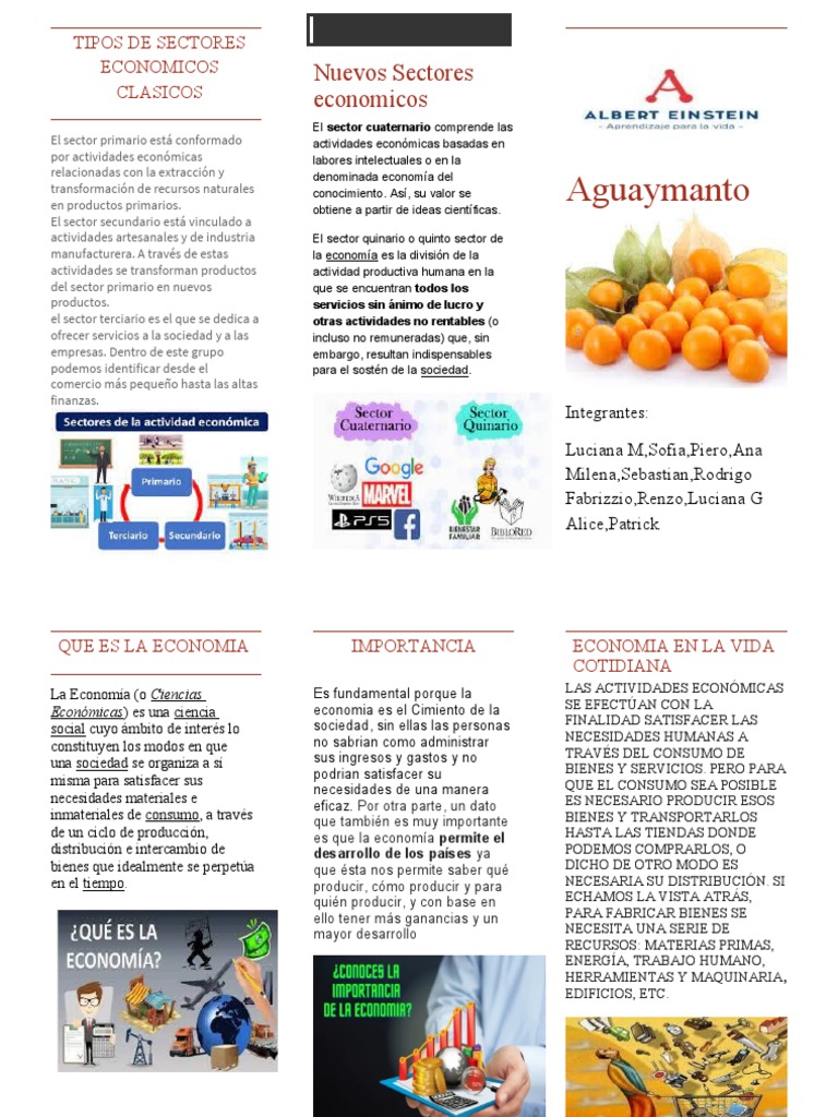 Triptico de Los Sectores Economicos | PDF | Ciencias económicas | Sociedad