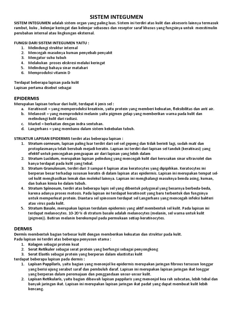 Sistem Integumen | PDF