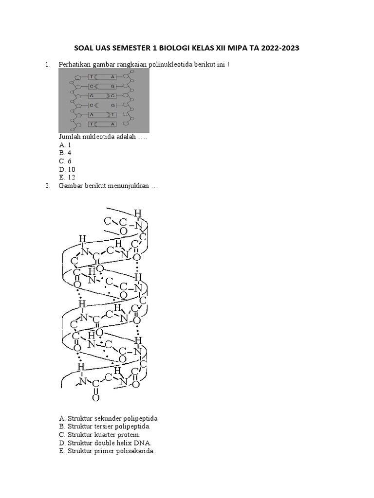 Latihan Soal Persiapan Uas Bio Kls Xii | PDF | Sains & Matematika