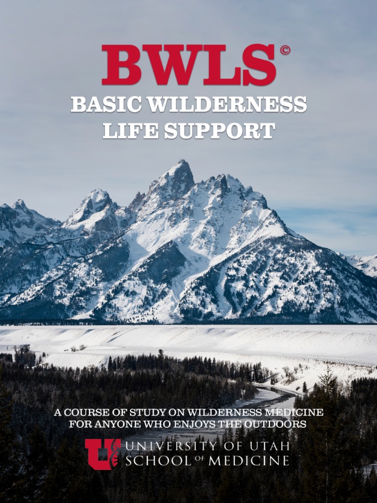 Wilderness First Aid | PDF | Wound | Rock Climbing