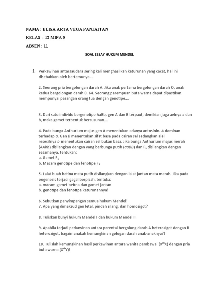 Soal Essay Hukum Mendel Kelas 12 | PDF | Seni & Disiplin Bahasa | Seni
