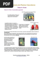 Fruto y Semilla | PDF | Plantas de jardín | Fruta