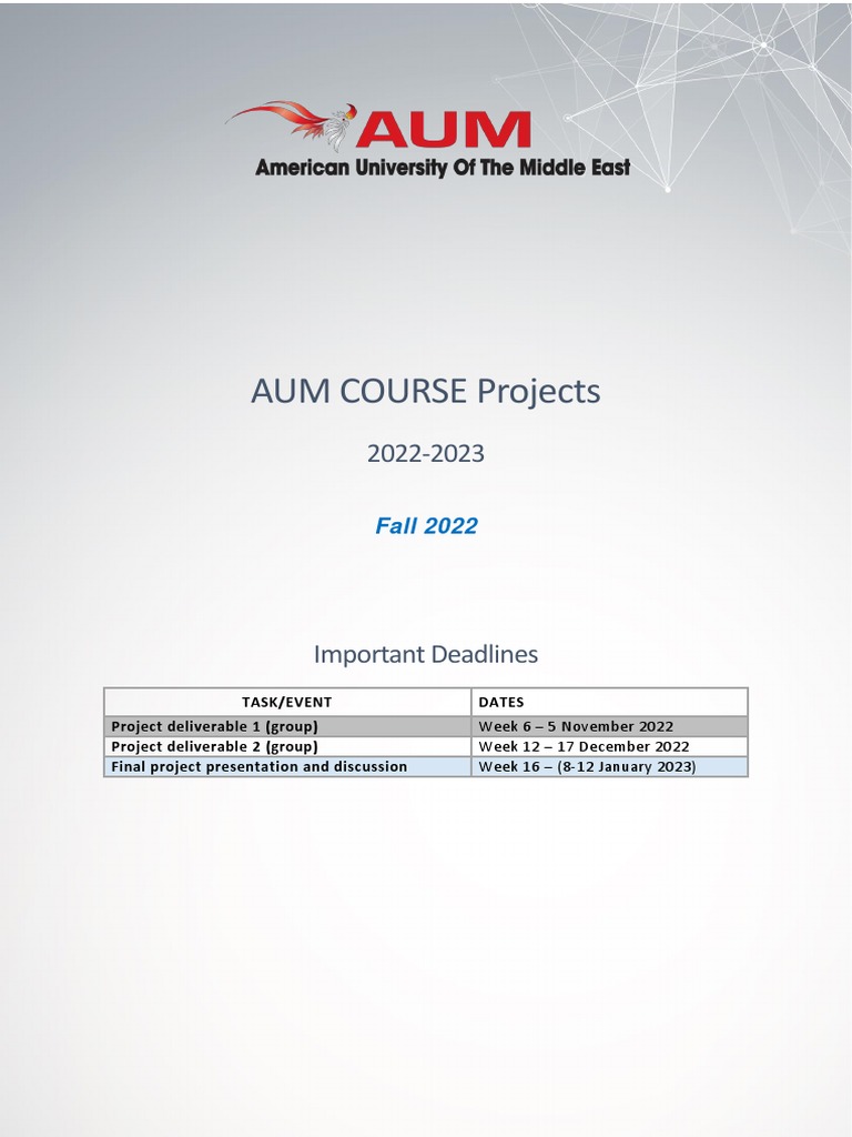 MIS300 All Fa22 YZ Project | PDF | Outsourcing | Request For Proposal