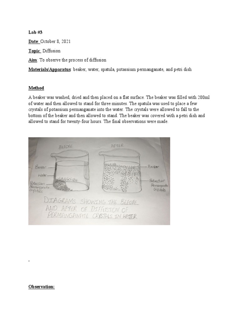 Lab 3 Diffusion | PDF | Diffusion | Water
