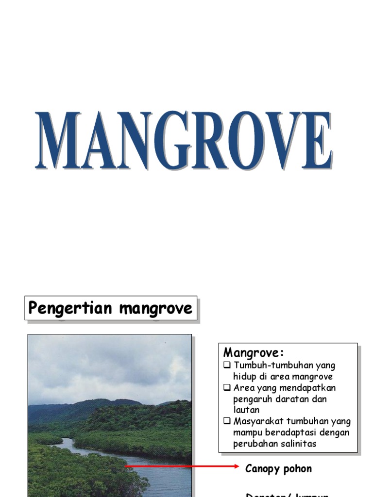 LBGT Mangrove | PDF