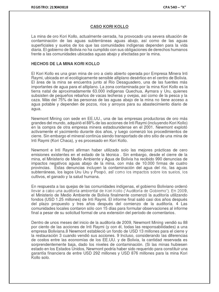 Conceptos y Caso Kori Kollo | PDF | Auditoría | Entorno natural