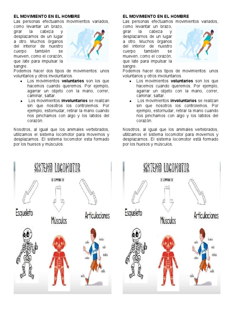 3 Movimiento y Fuerza | PDF