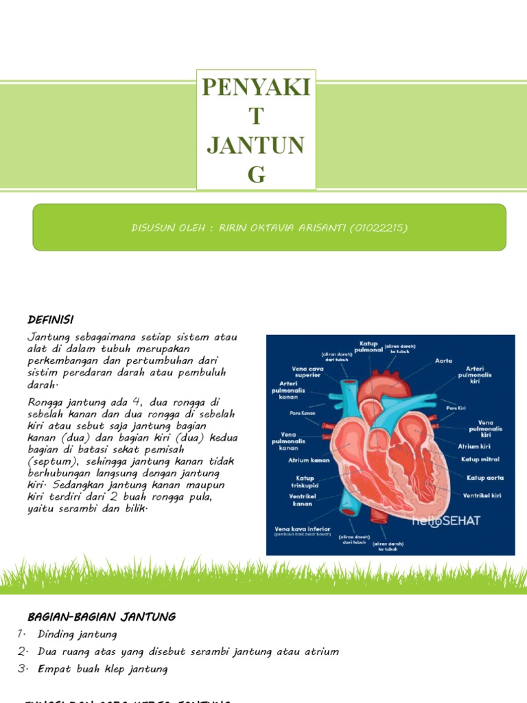 Jantung Ririn | PDF