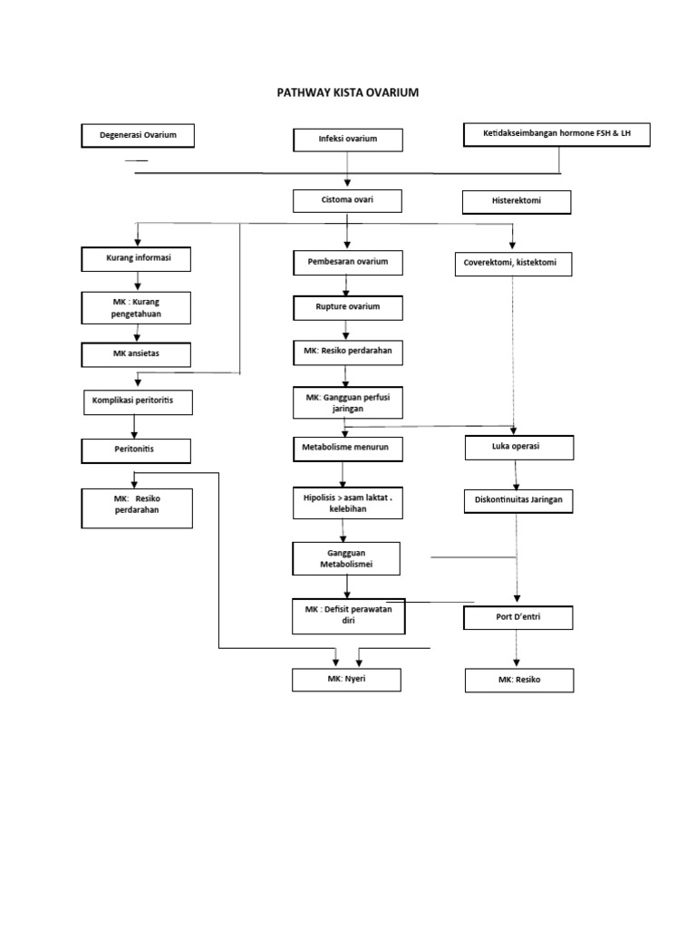 Pathway Kista Ovarium | PDF