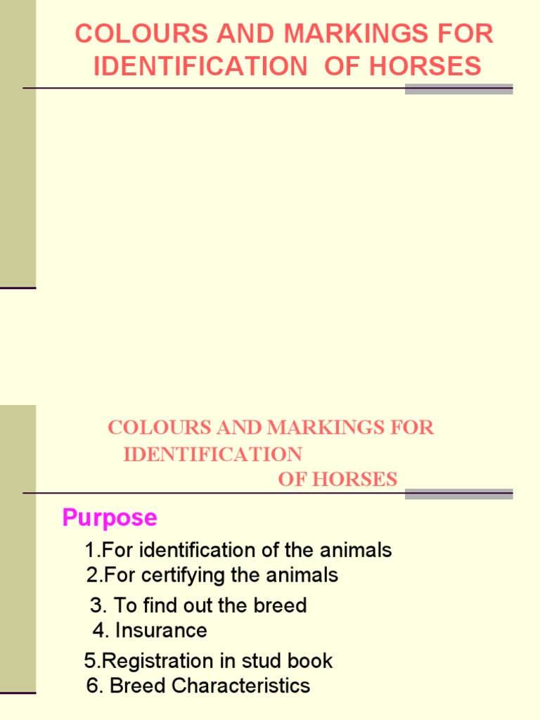 Horse Colour and Markings | PDF | Equus (Genus) | Horses
