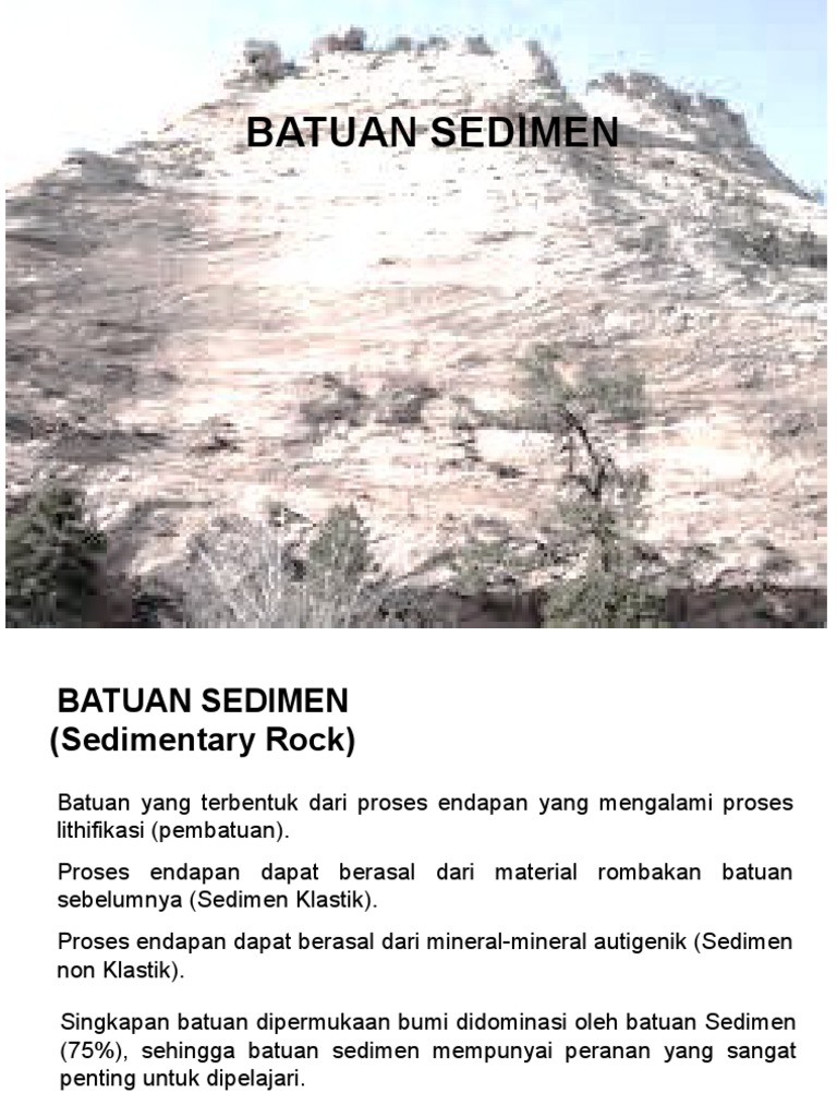 Ilmu Geologi 06 Batuan Sedimen | PDF | Sains & Matematika | Teknologi ...