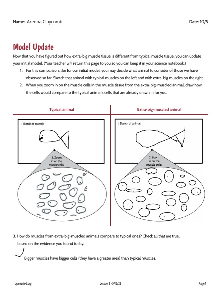Kami Export - Copy of 8.5 Lesson 2 Handout Model Update Handout | PDF