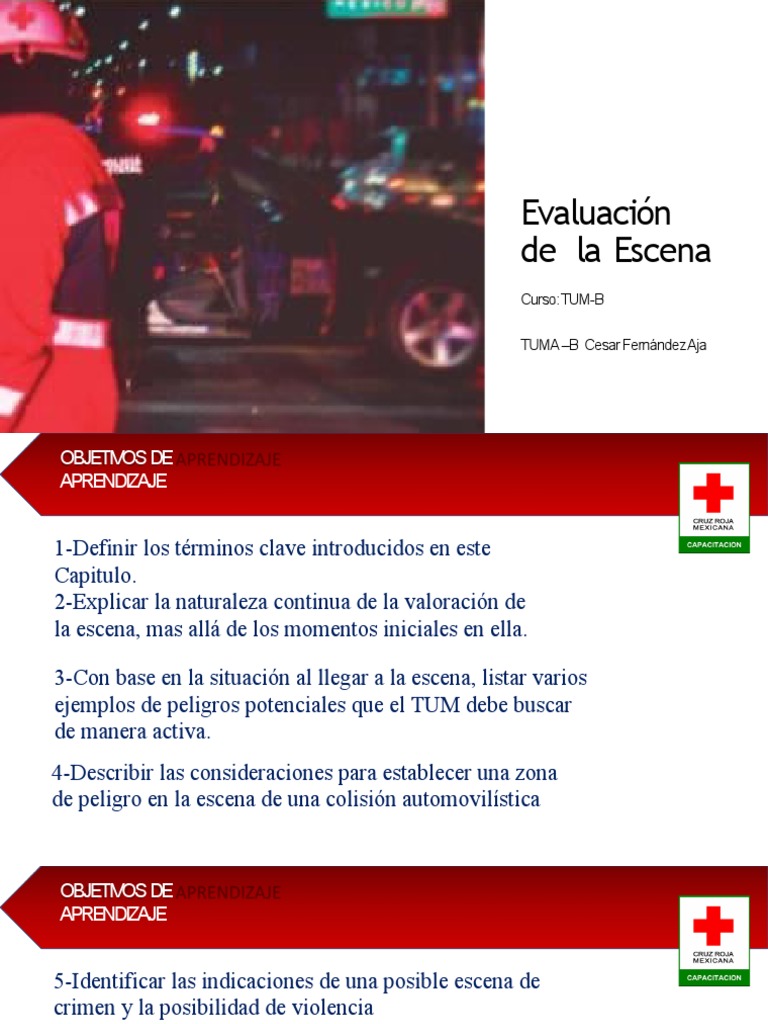 Evaluación de La Escena | PDF | Rodilla | Masa