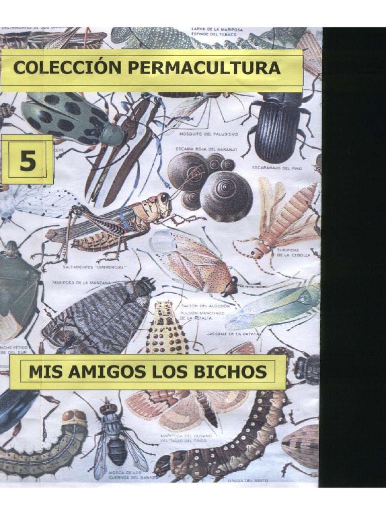 Coleccion Permacultura 05 - Mis Amigos Los Bichos (Scan) | PDF ...