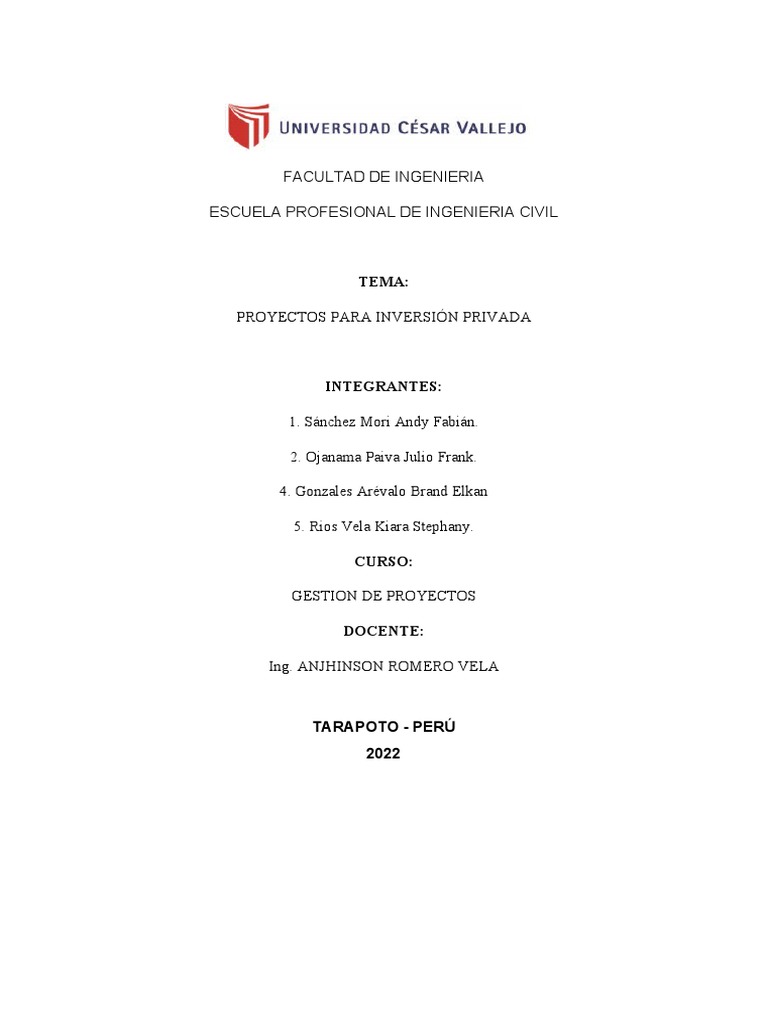 Proyectos de Inversión Privada | Descargar gratis PDF | Mercado ...