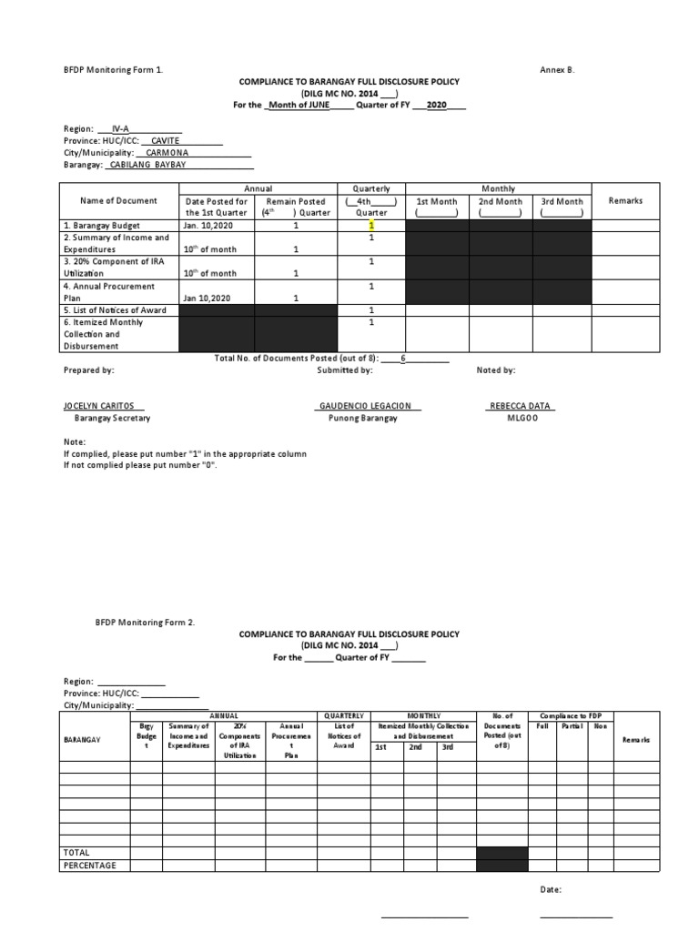 BFDP Monitoring Form 2019 | PDF | Economies | Government
