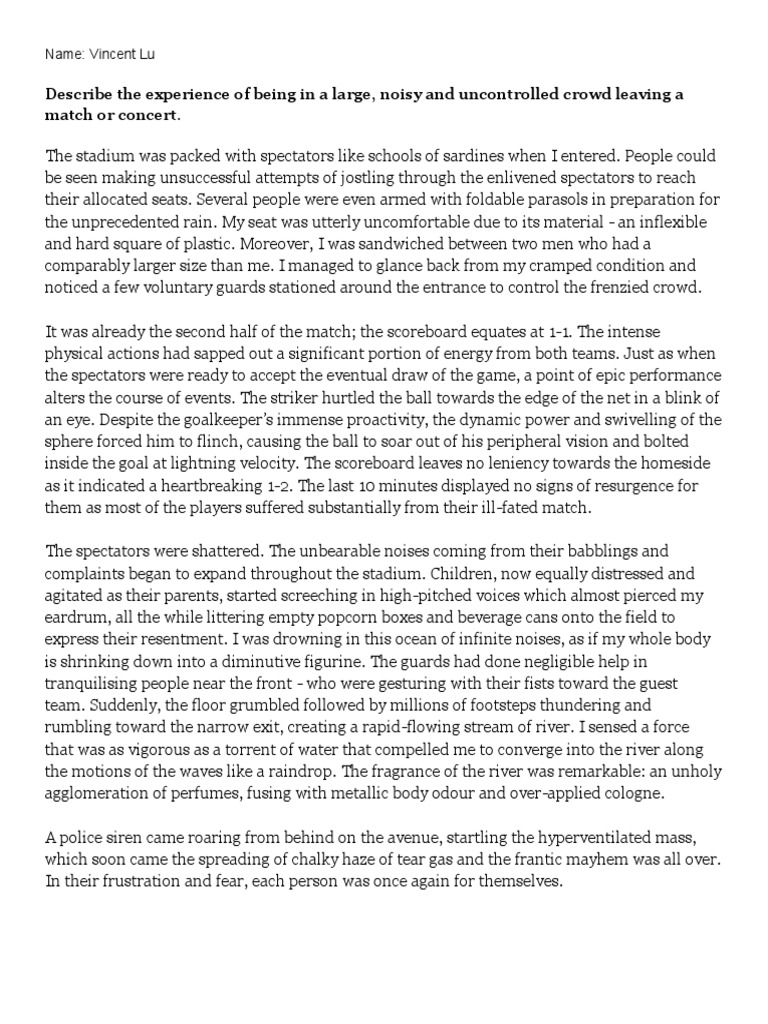 Vincent Lu - Descriptive Writing Task Week 8 | PDF