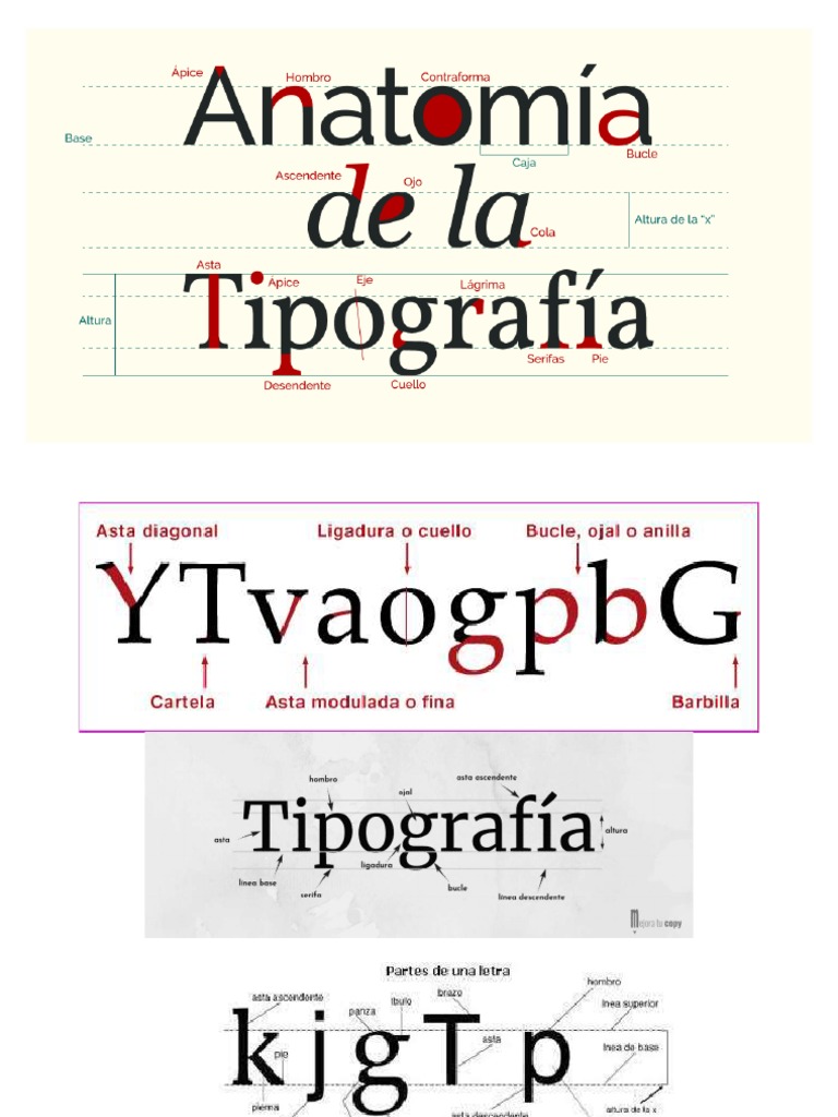 Guia Partes de La Letra | PDF